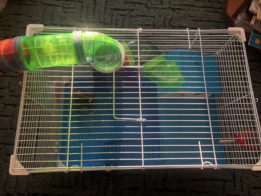 Клетка для грызунов