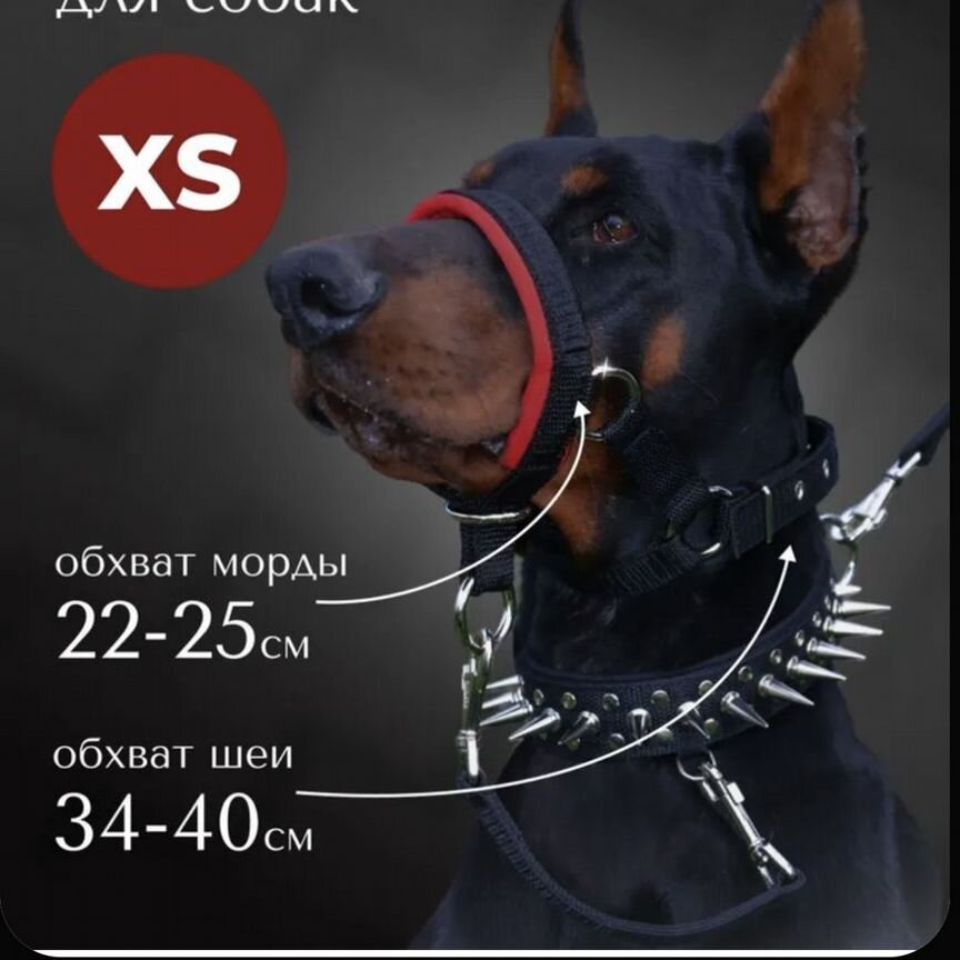 Недоуздок для собак халти