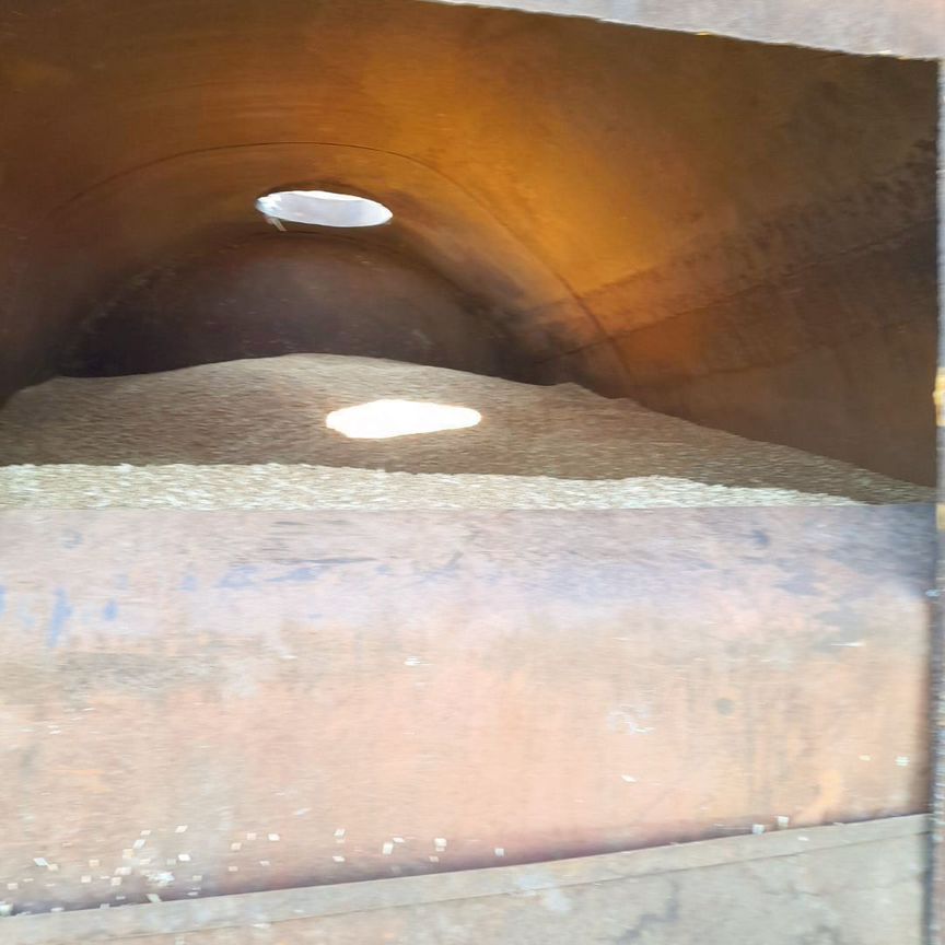 Зерно пшеница озимая