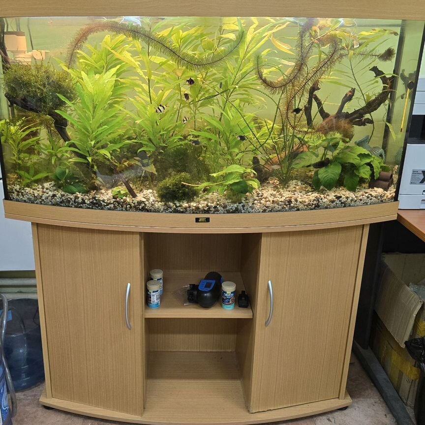 Аквариум Juwel 300