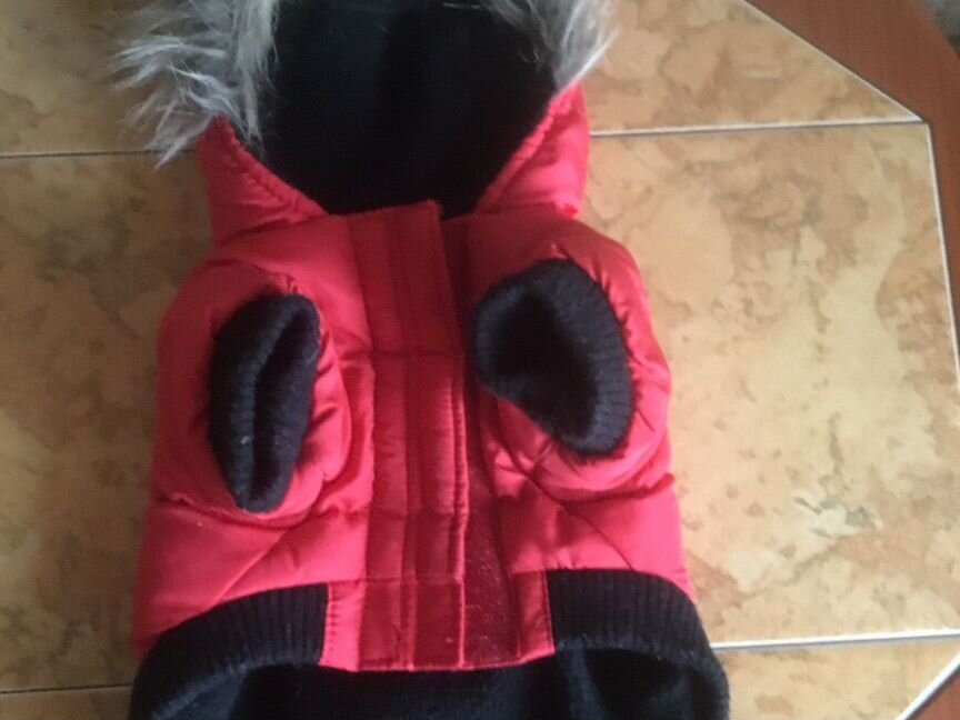 Куртка на маленькую собачку или шенка