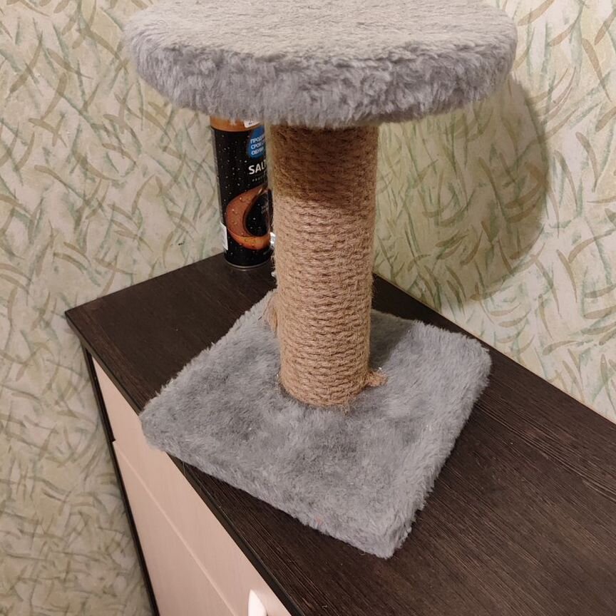 Когтеточка для котят