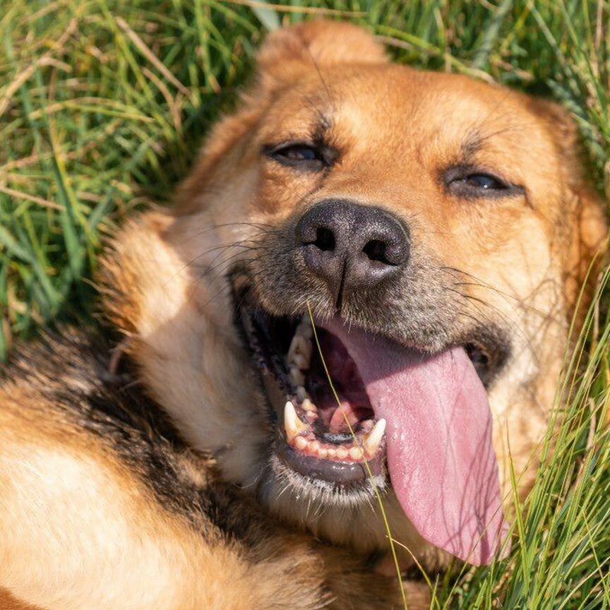 Нежная Кирочка еще в приюте