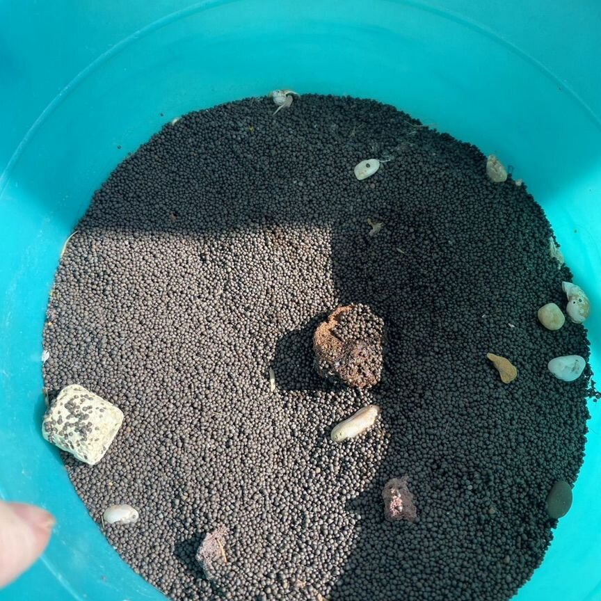 Речной песок для аквариума