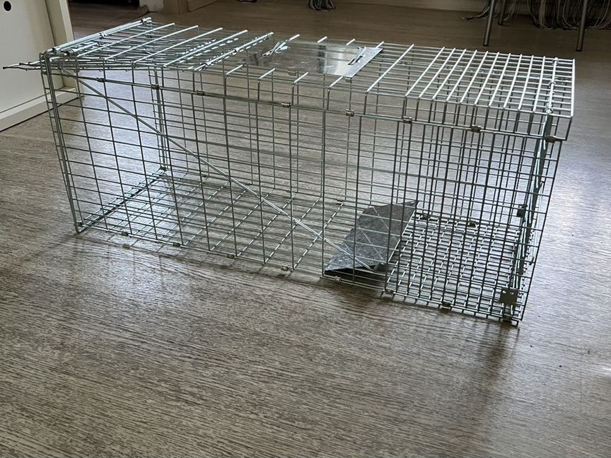 Котоловка (кошколовка)