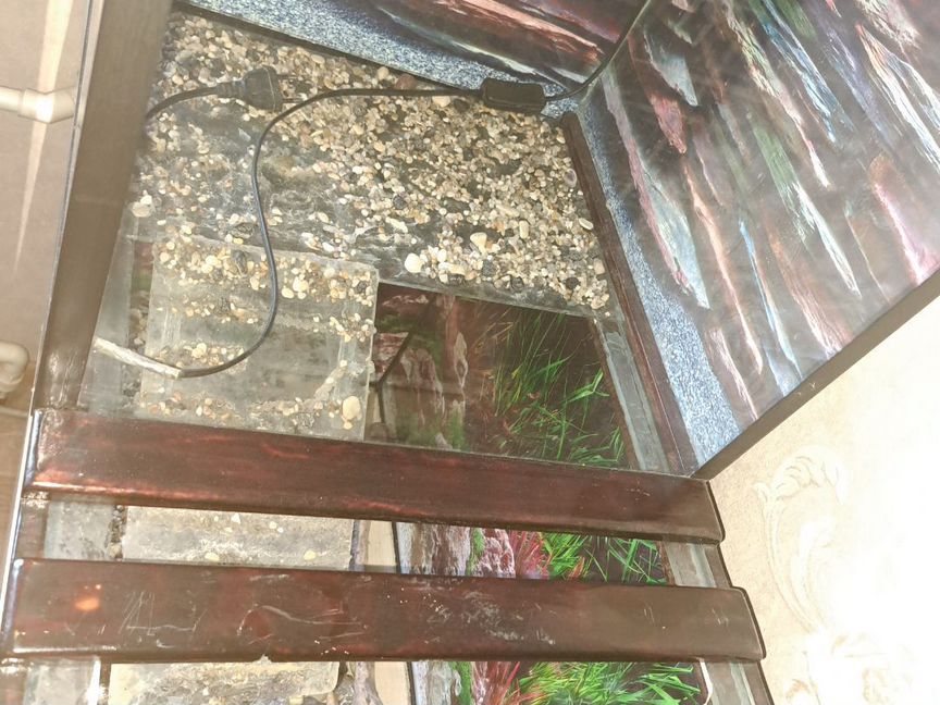 Аквариум/акватеррариум