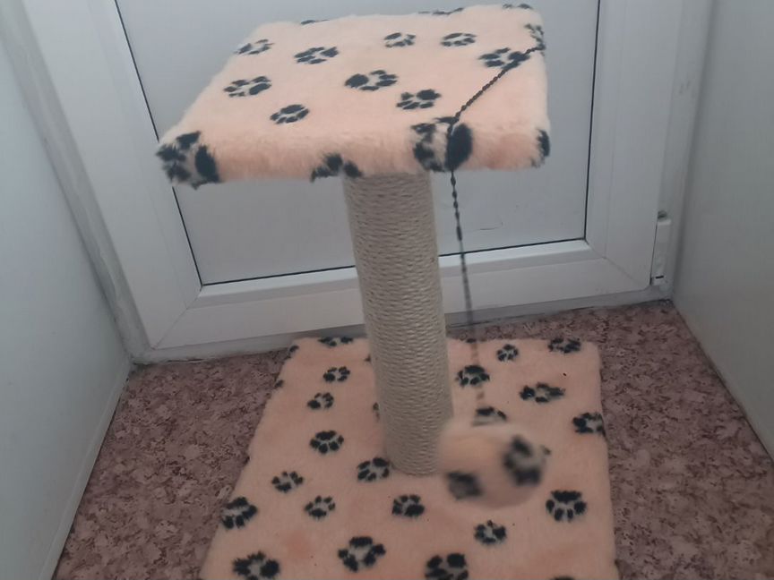 Когтеточка