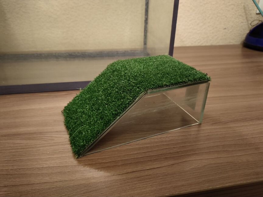 Мостик для черепахи