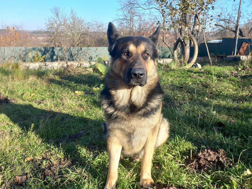 Немец для вязки черпак 53кг