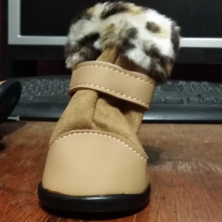 Обувь для собак