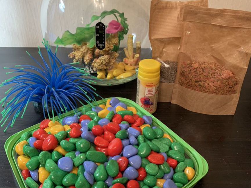 Аквариум 5 л, кораллы, корм, камушки, растения