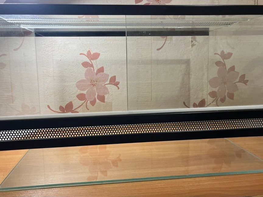 Террариум для рептилий