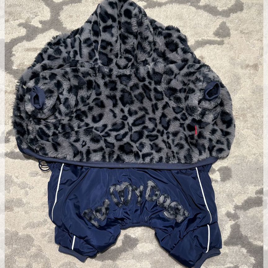 Одежда для собак