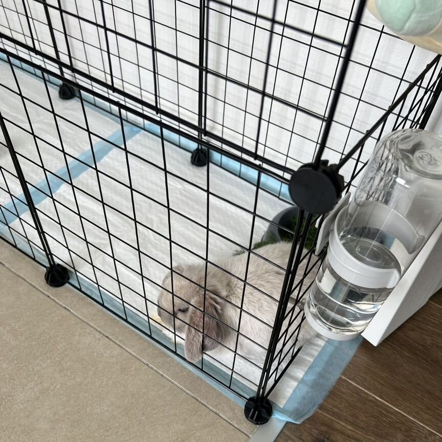 Клетка вольер для животных