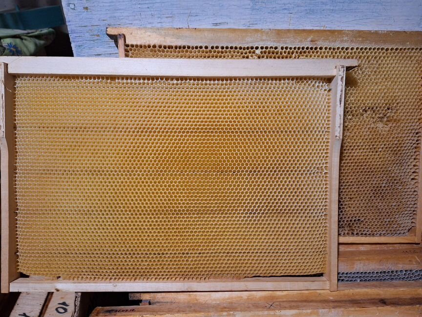 Сушь для пчёл на рамках Дадан