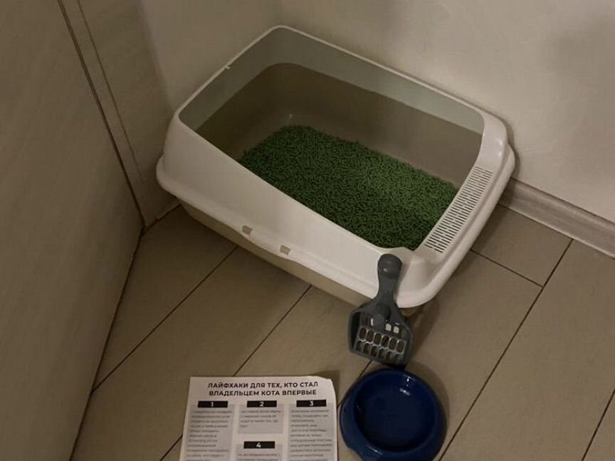 Лоток туалет для кошек большой высокий