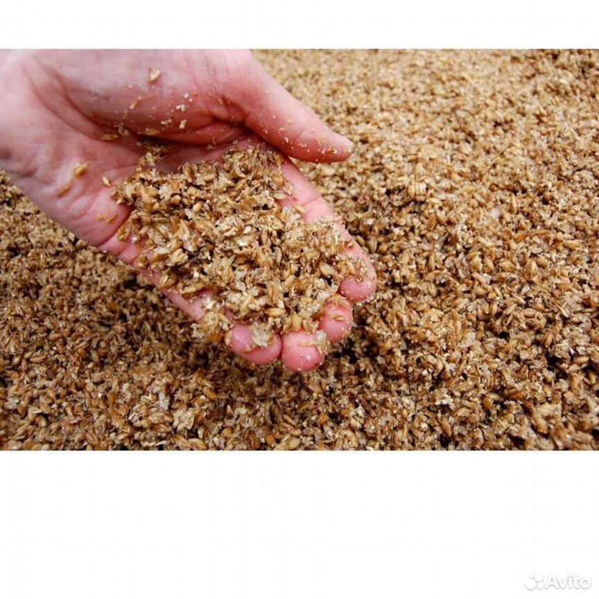 Пивная дробина