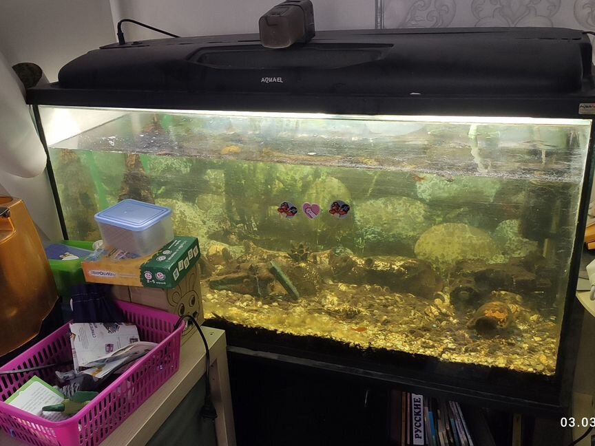 Аквариум aquael 200 литров с тумбой