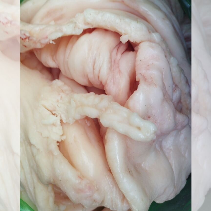 Внутренний говяжий жир