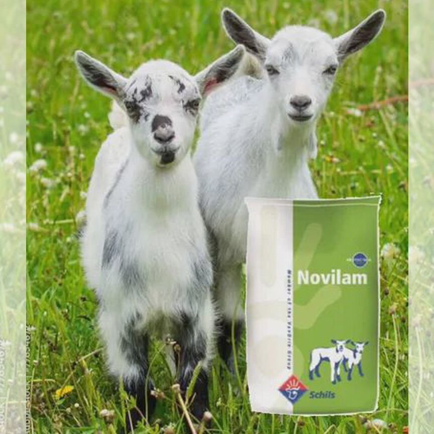 Заменитель цельного молока для козлят и ягнят 25кг