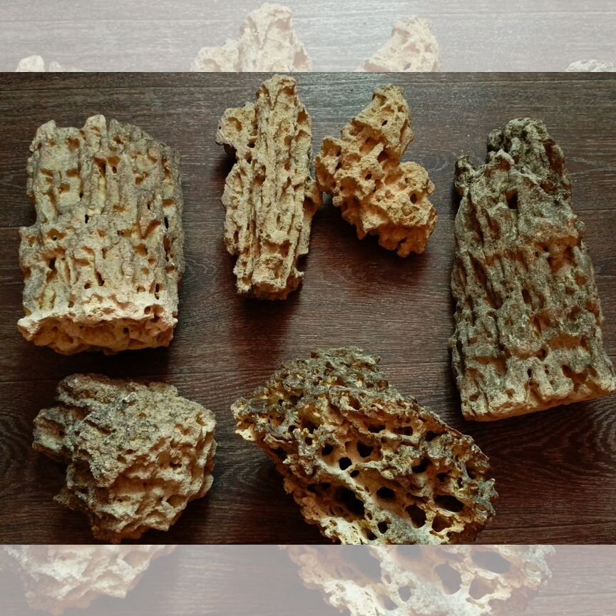 Песчаник в аквариум