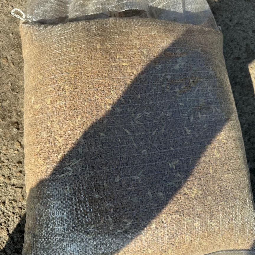 Пшеница по 10 кг