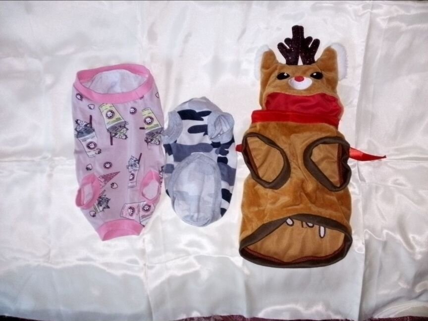 Одежда для мелких пород