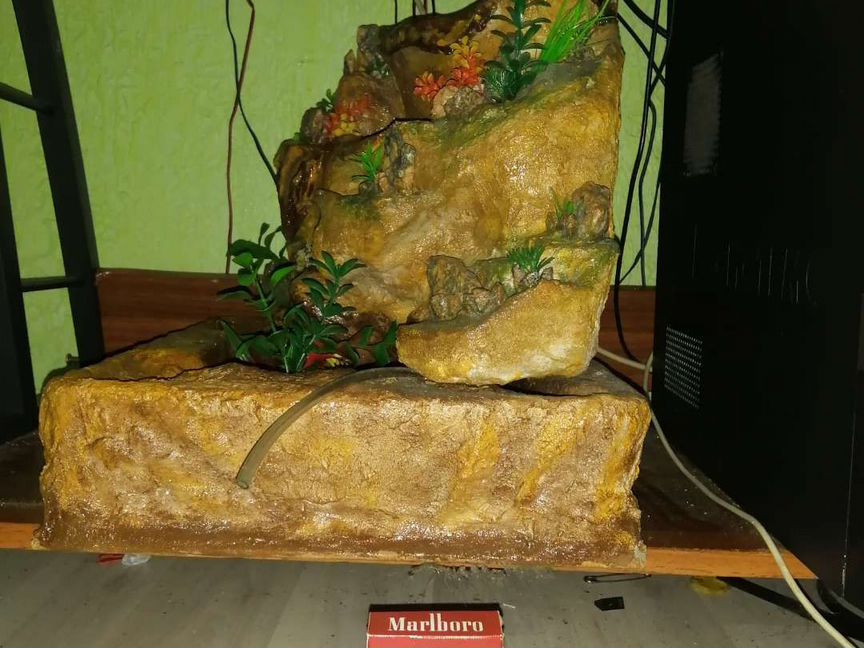 Минифоньан в террариум