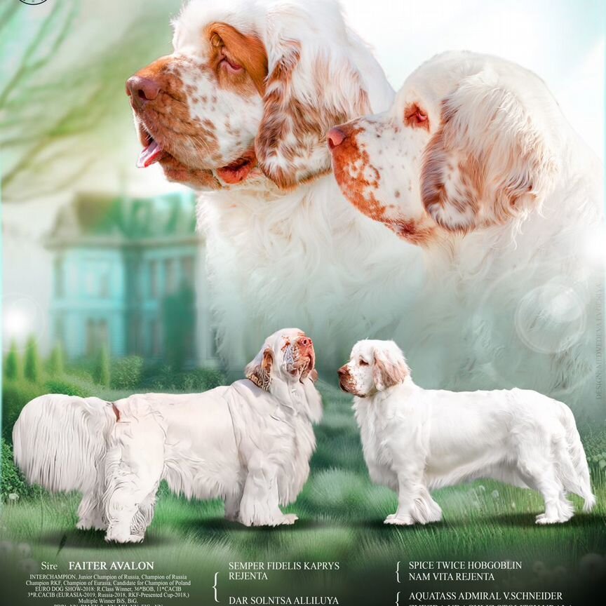 Очаровательные пломбирчики