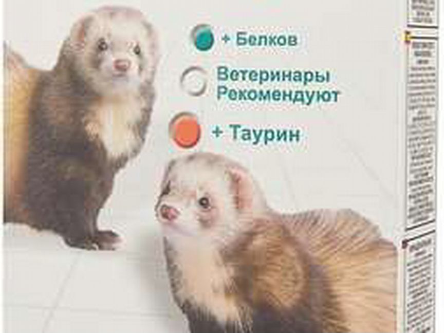 Корм для хорька