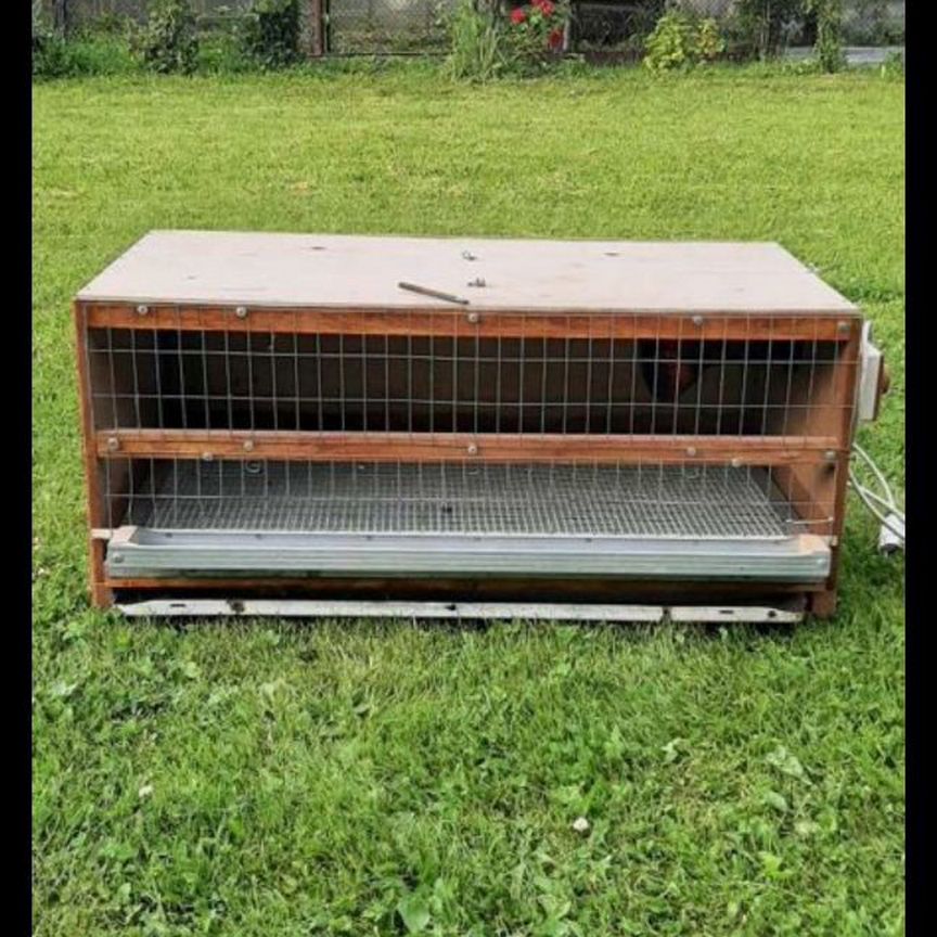 Брудер для выращивания птенцов с первых дней