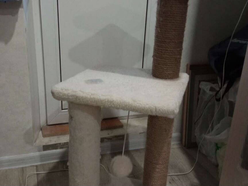 Когтеточка