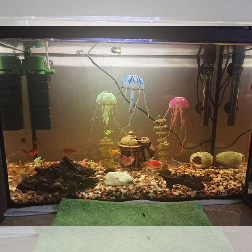 Аквариум с рыбками