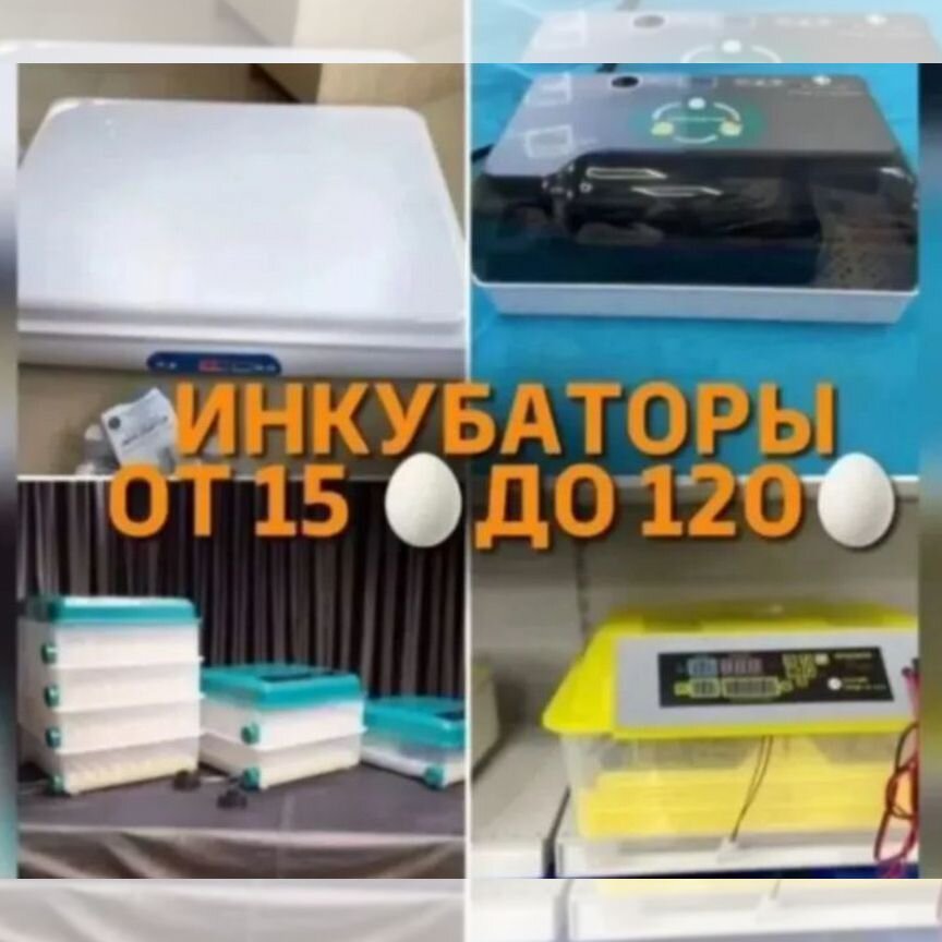 Автоматический инкубатор для яиц