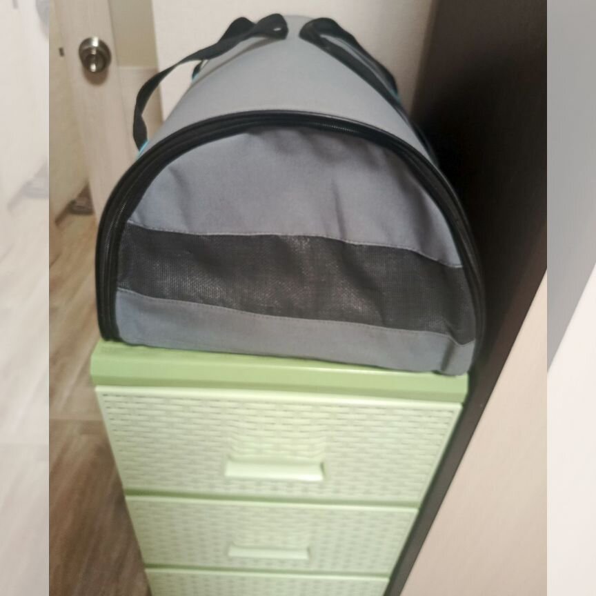 Переноска для животных бу