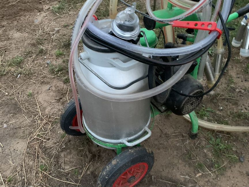 Доильный аппарат бу