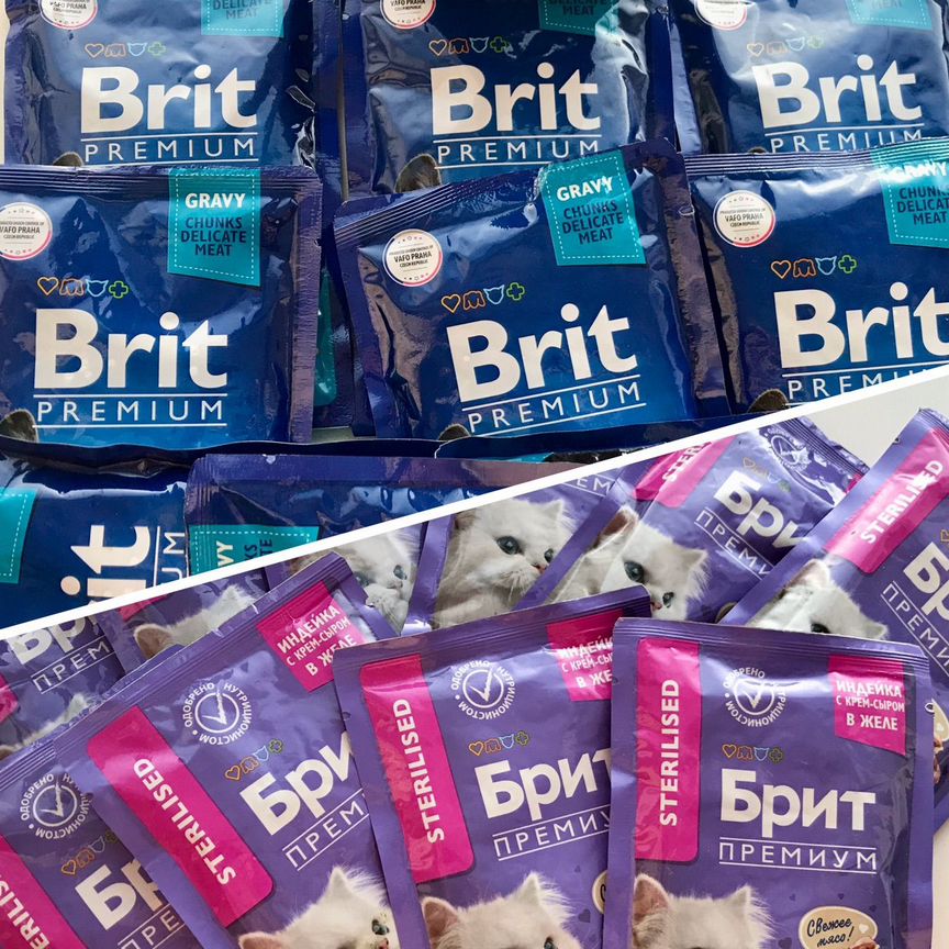 Влажный корм для кошек Brit