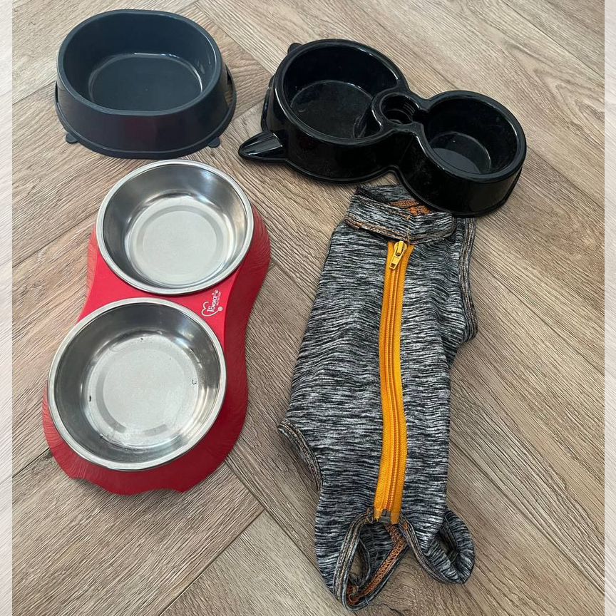 Миски и попона для животных