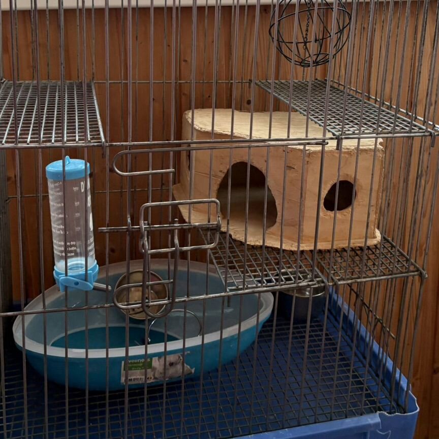 Клетка для грызунов
