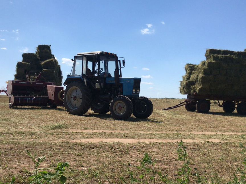 Сено в тюках цена с доставкой