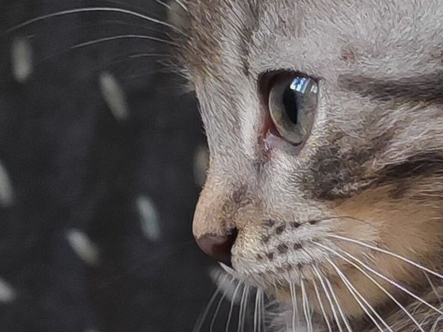 Малышка очень хочет домой