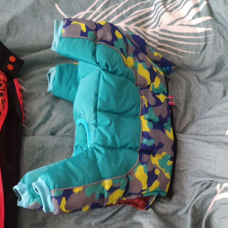 Одежда для собак мелких пород девочка