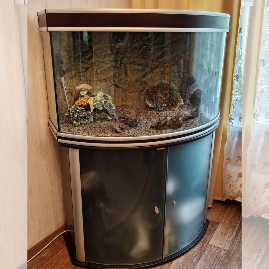 Аквариум Aquatlantis Avasion Horizon 100