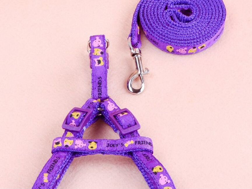 Шлейка для собаки