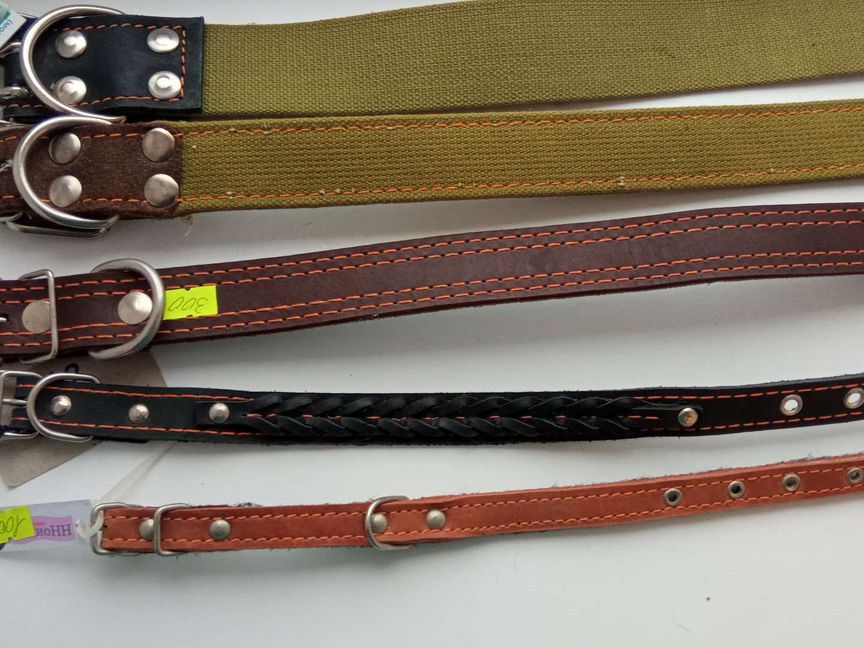 Ошейники, Поводок