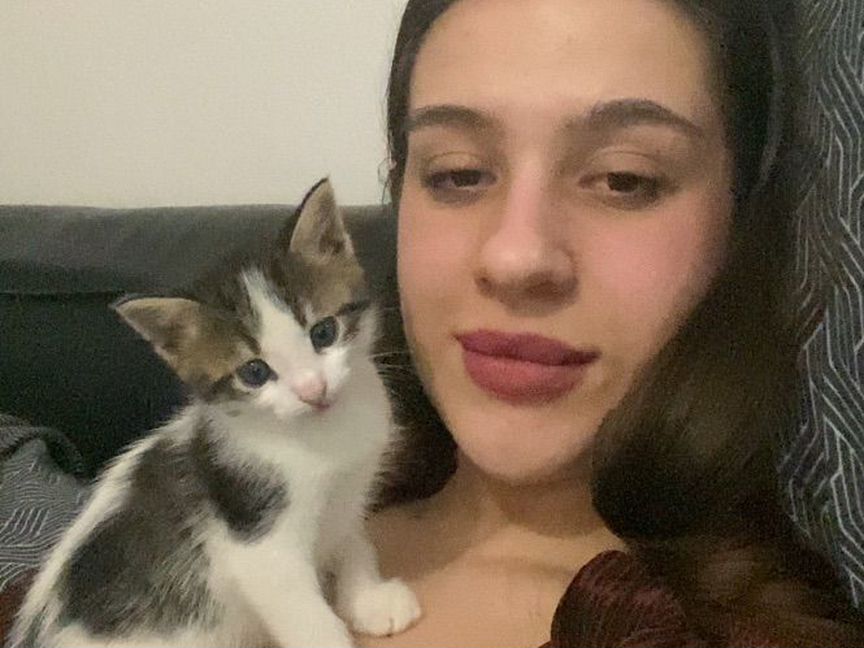 Котенок мальчик 1,5 мес