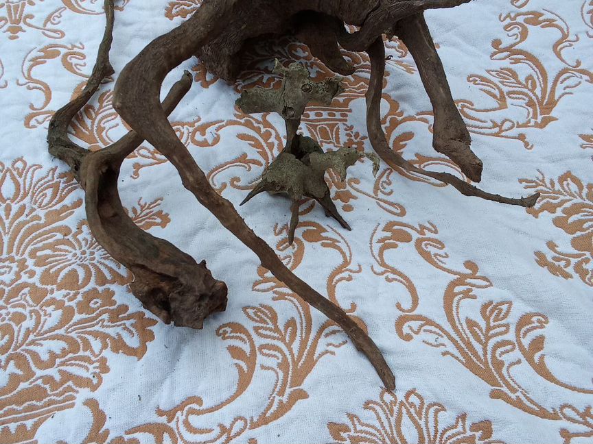 Коряги для аквариума