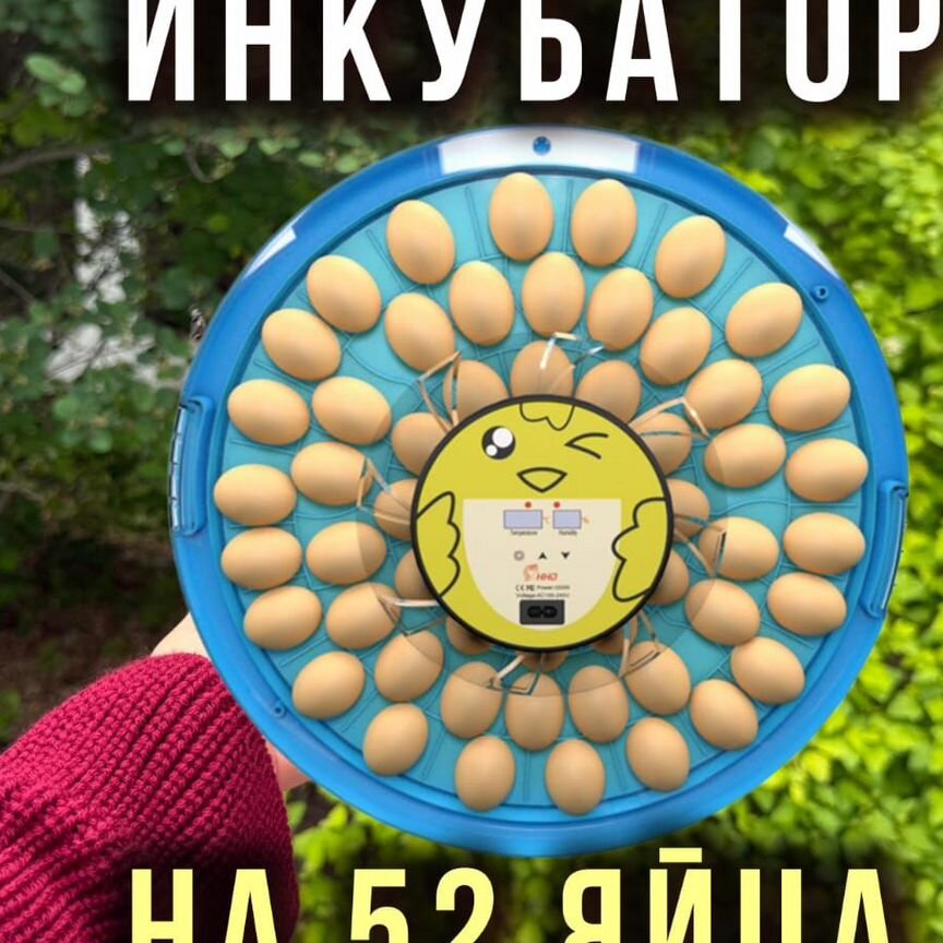 Инкубатор для яиц автоматический