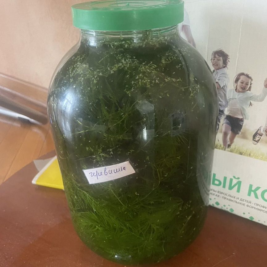 Аквариумные растения