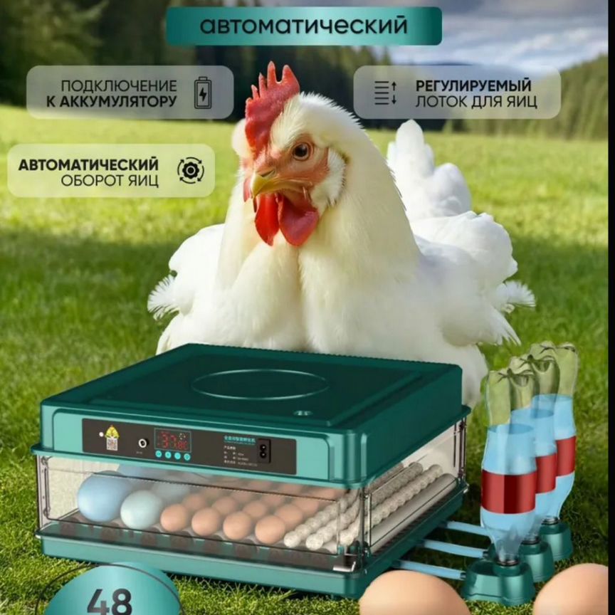 Инкубатор на 48 яиц